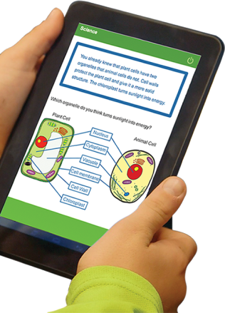 Cool Tool | MobyMax Cognitive Skills Science